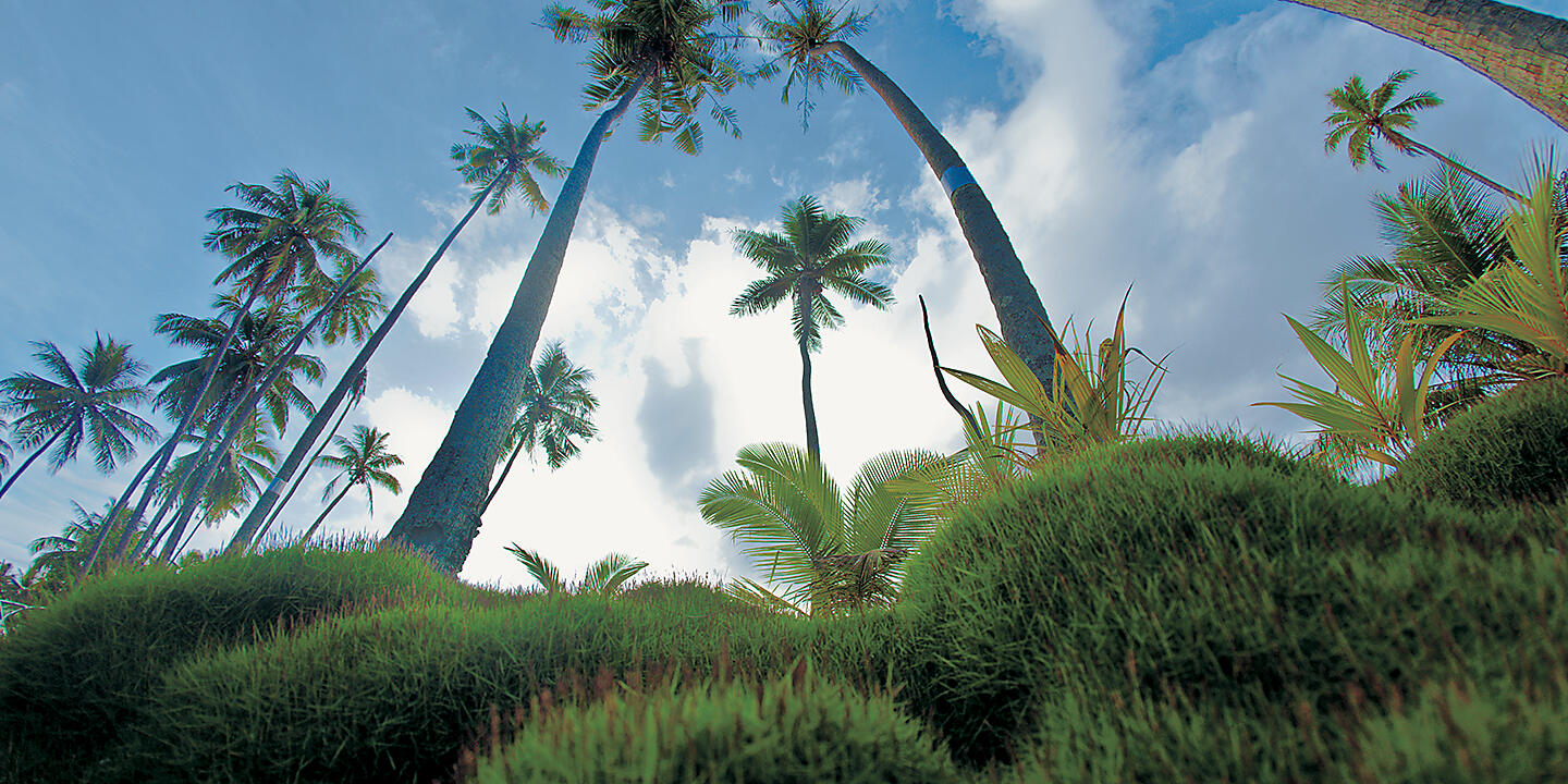 Cruises to Fiji, Tonga, Cook & Society Islands - 2021 & 2022 & 2023 ...