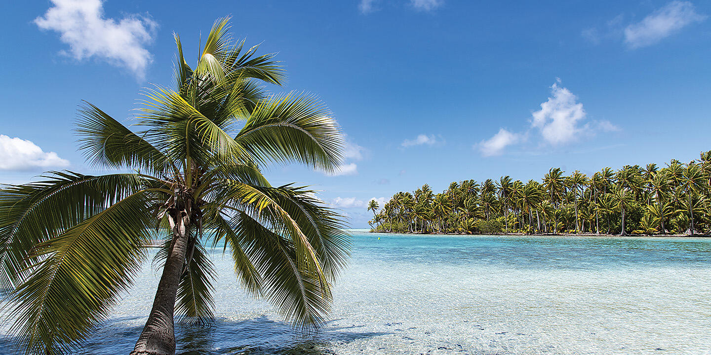 Ancestral Cultures of the South Pacific: from Jan 9, 28 to Jan 21, 28 ...